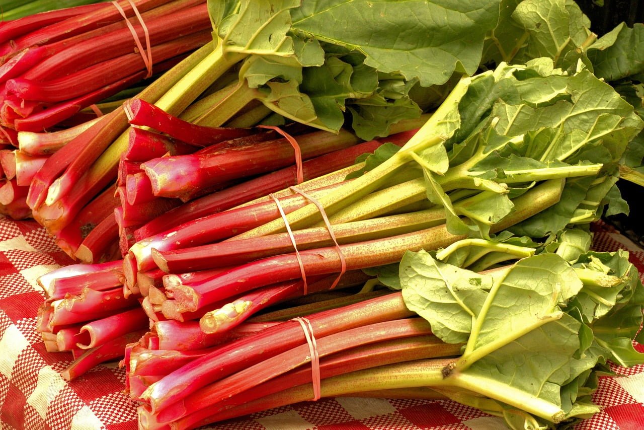 The Rhubarb Growing Guide - From Seed To Harvest To Health