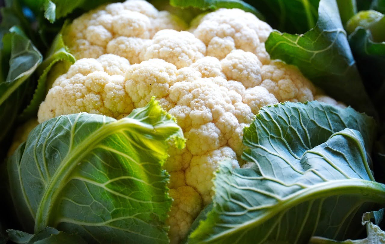 The Cauliflower Growing Guide - From Seed To Harvest To Health
